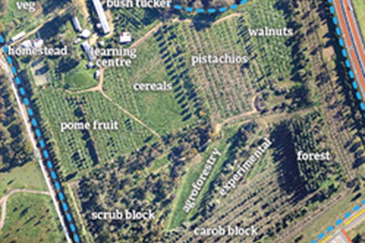 The Food Forest | farmtucker - buy direct from the farmgate